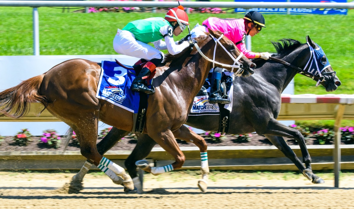 Ms Locust Point, Bronx Beauty Set For Championship Showdown