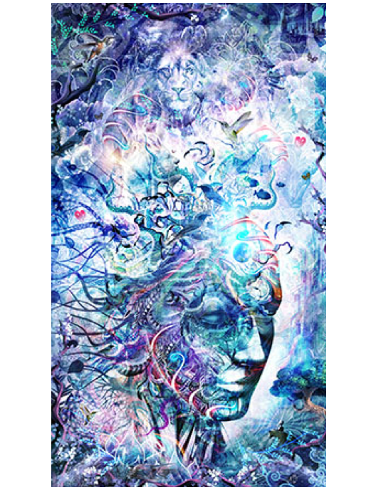 New Dawn E-Newsletter - From the Vault #36